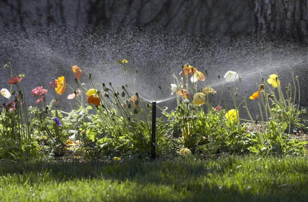 Hunter Pro-Spray Fixed Arc 12ft Nozzles 💧 SunshowerOnline
